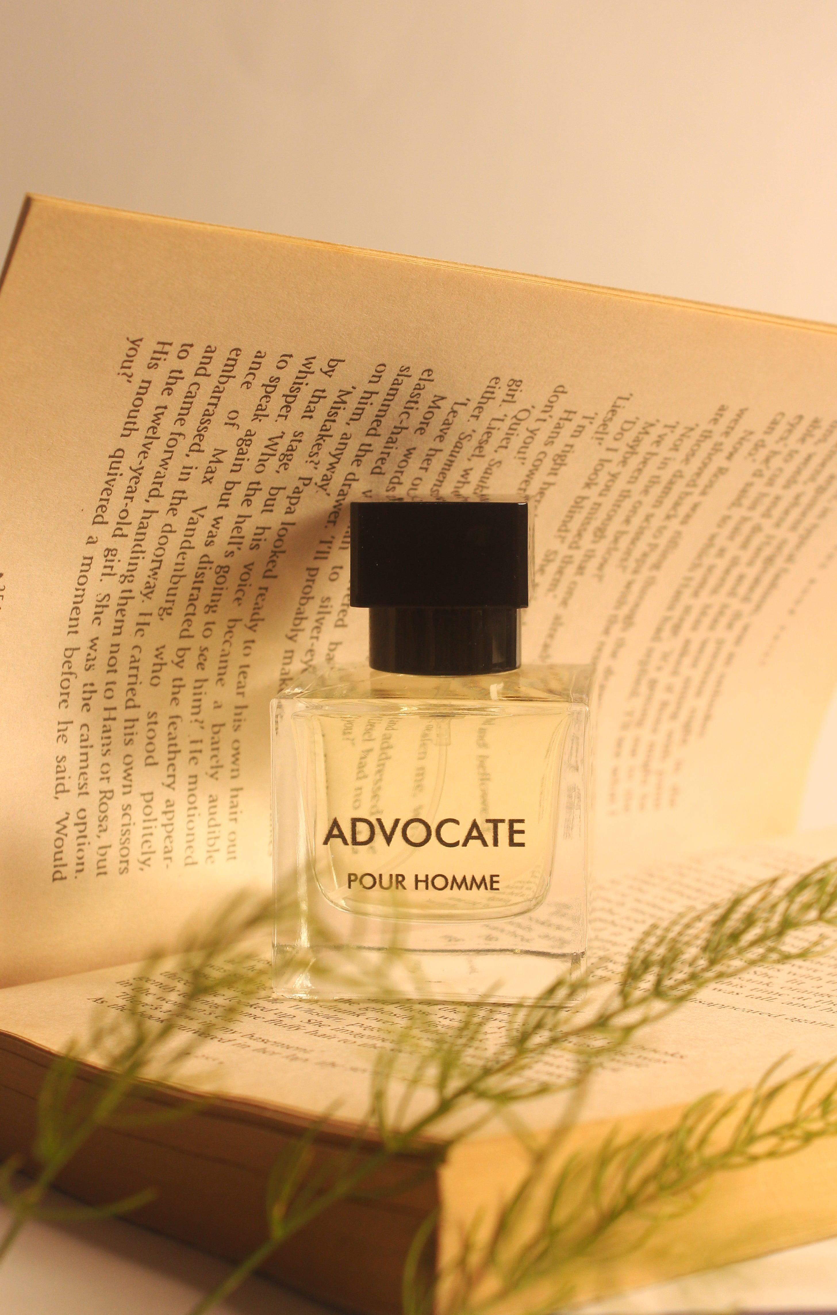 Discover Advocate- 3 Key Notes for Professionals – Stellare